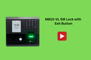 ZKTeco MB10-VL | Time Attendance Device